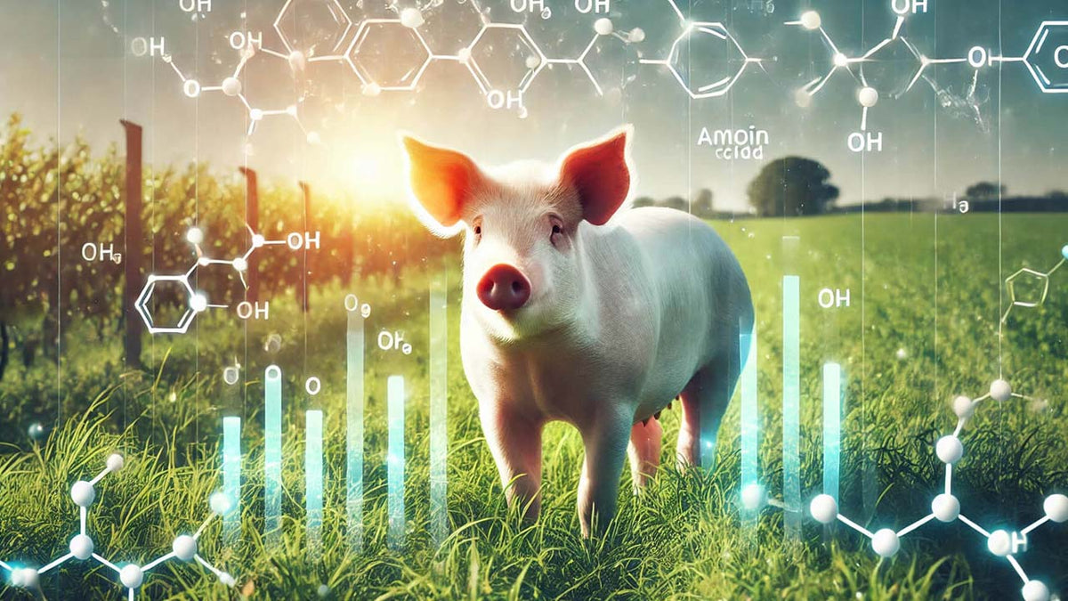 What Pigs Can Teach Us About Maximizing Muscle Growth with I.AM.AMINO®